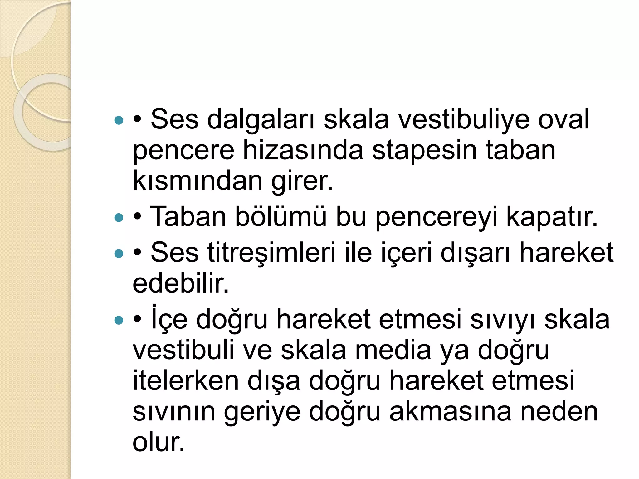 Temporal kemik anatomiisi işitme ve denge fizyolojiisi | PPTX