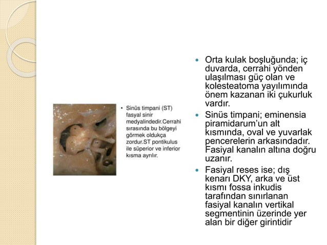 Temporal kemik anatomiisi işitme ve denge fizyolojiisi | PPTX