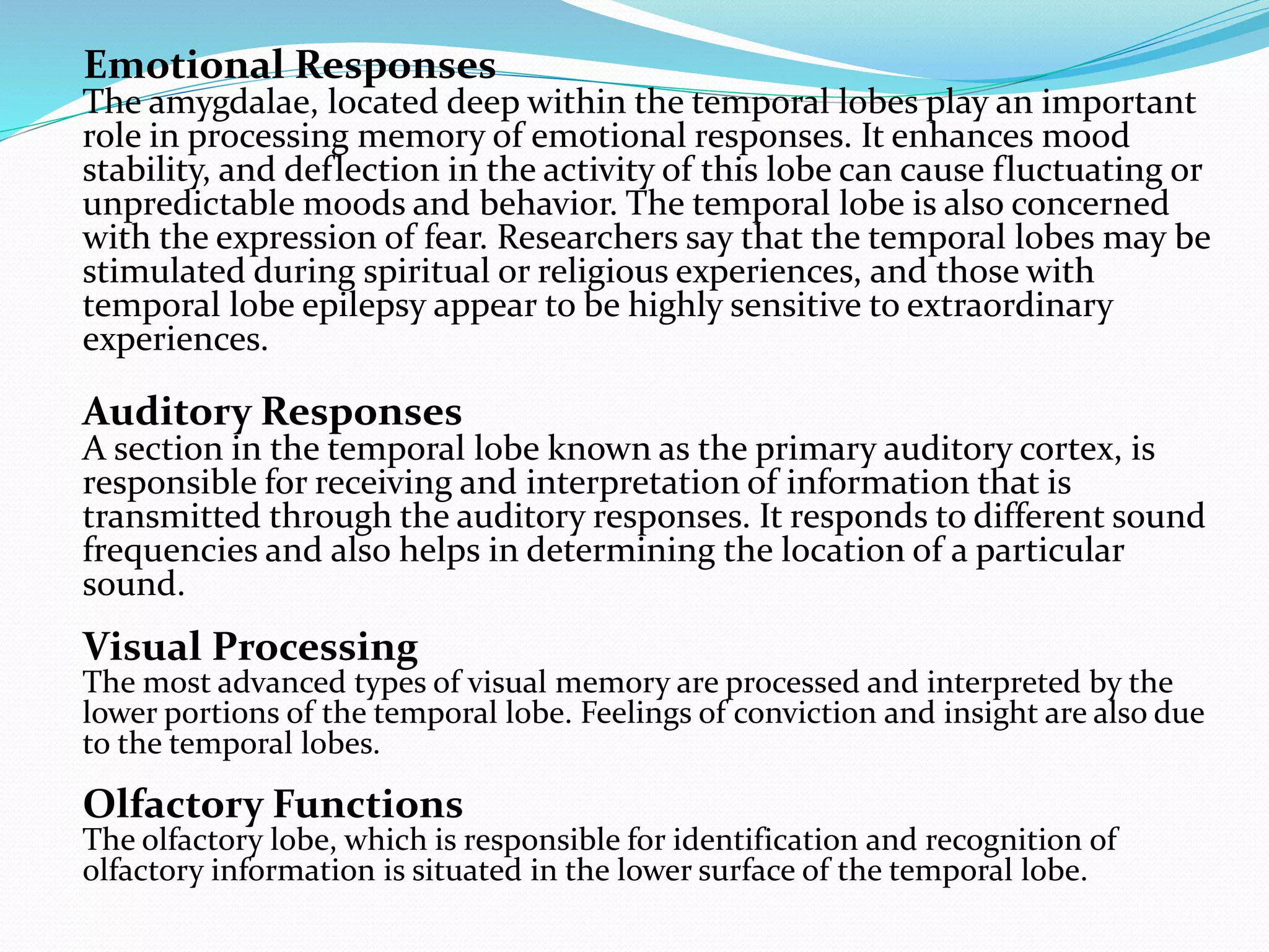 Temporal lobe | PPTX