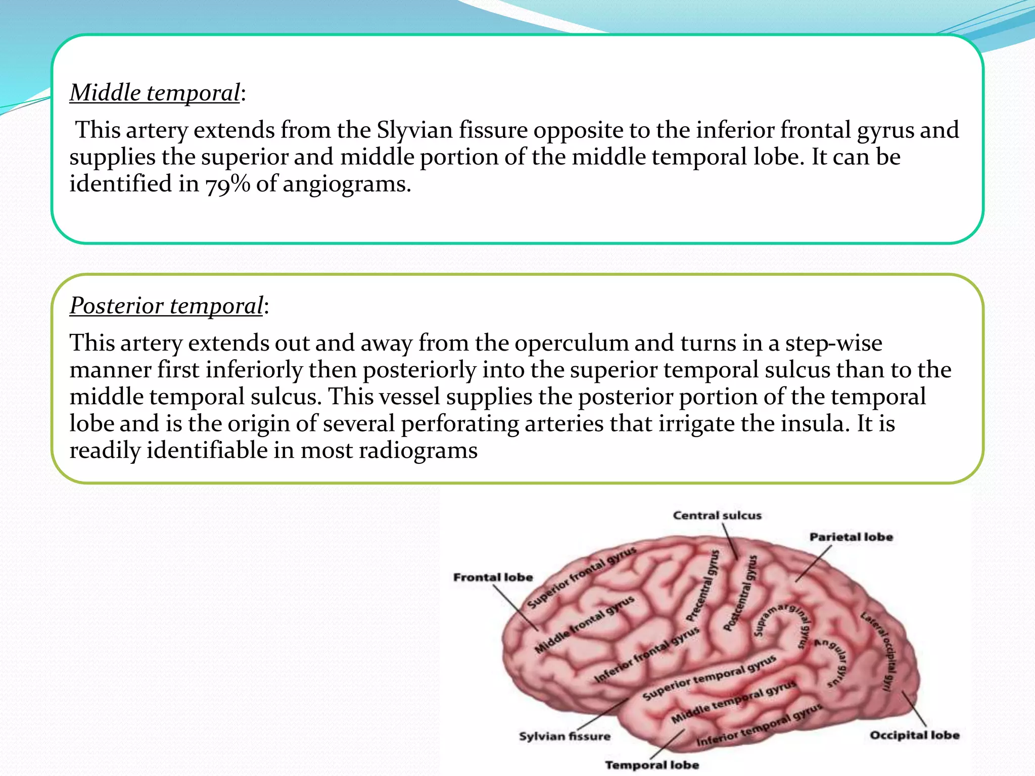 Temporal lobe | PPTX