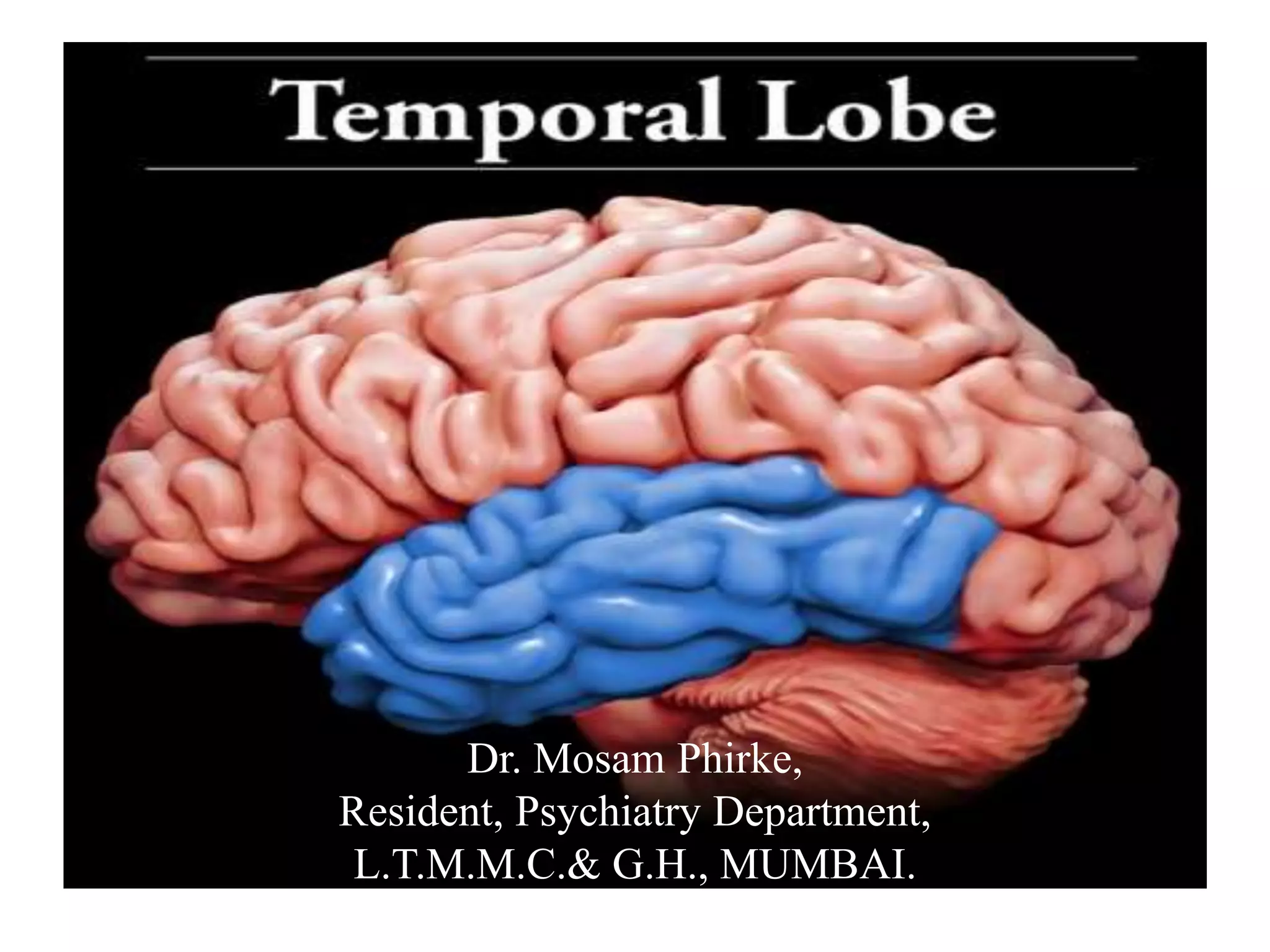 Temporal lobe | PPTX