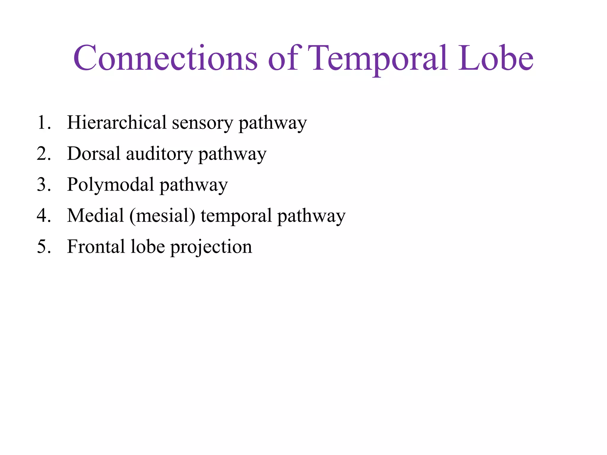 Temporal lobe | PPTX