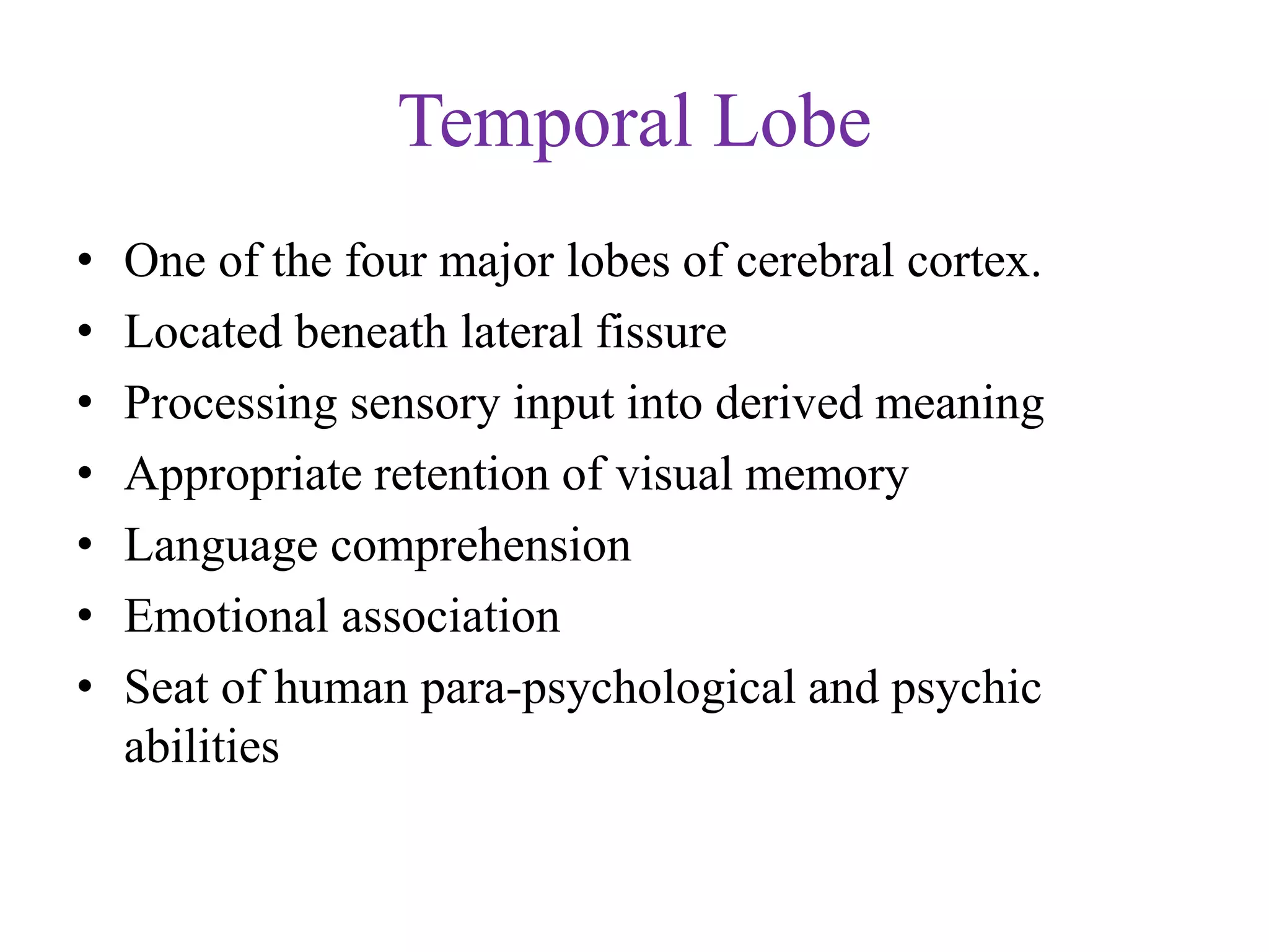 Temporal lobe | PPTX