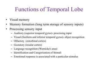 Temporal lobe | PPTX