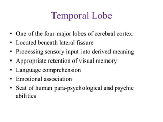 Temporal lobe | PPTX