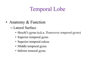 Temporal lobe | PPTX