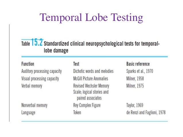 Temporal Lobe