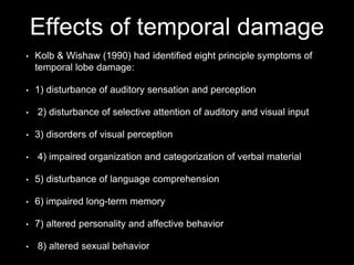 temporal_lobe.pptx