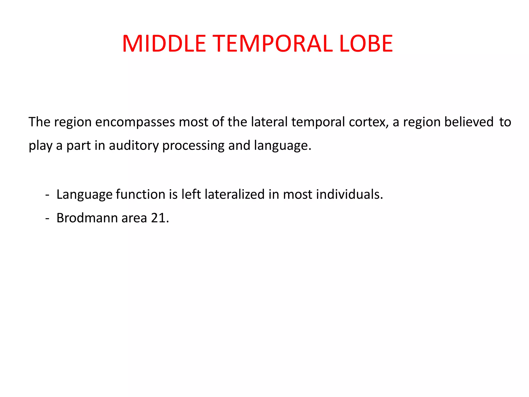 temporal lobe.pptx