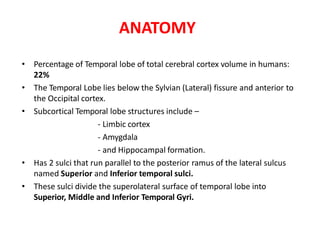 temporal lobe.pptx