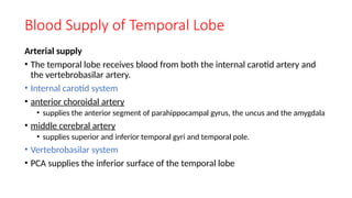 Anatomy, Functions and corelations of Temporal lobe | PPTX