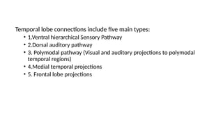 Anatomy, Functions and corelations of Temporal lobe | PPTX
