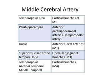 temporal lobe anatomy class - Detailed anatomy | PPTX