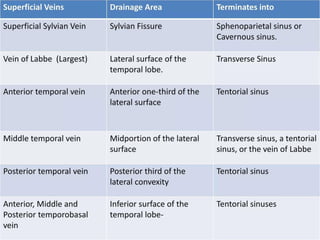 temporal lobe anatomy class - Detailed anatomy | PPTX
