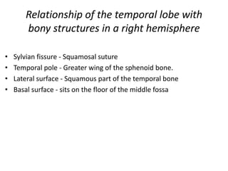 temporal lobe anatomy class - Detailed anatomy | PPTX