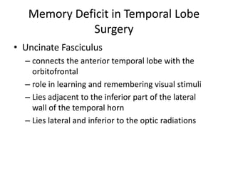 temporal lobe anatomy class - Detailed anatomy | PPTX