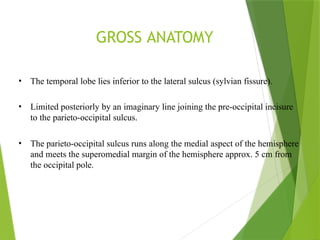 Temporal Lobe Anatomy neurosurgery fINAL.pptx