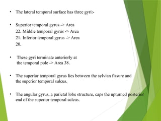 Temporal Lobe Anatomy neurosurgery fINAL.pptx