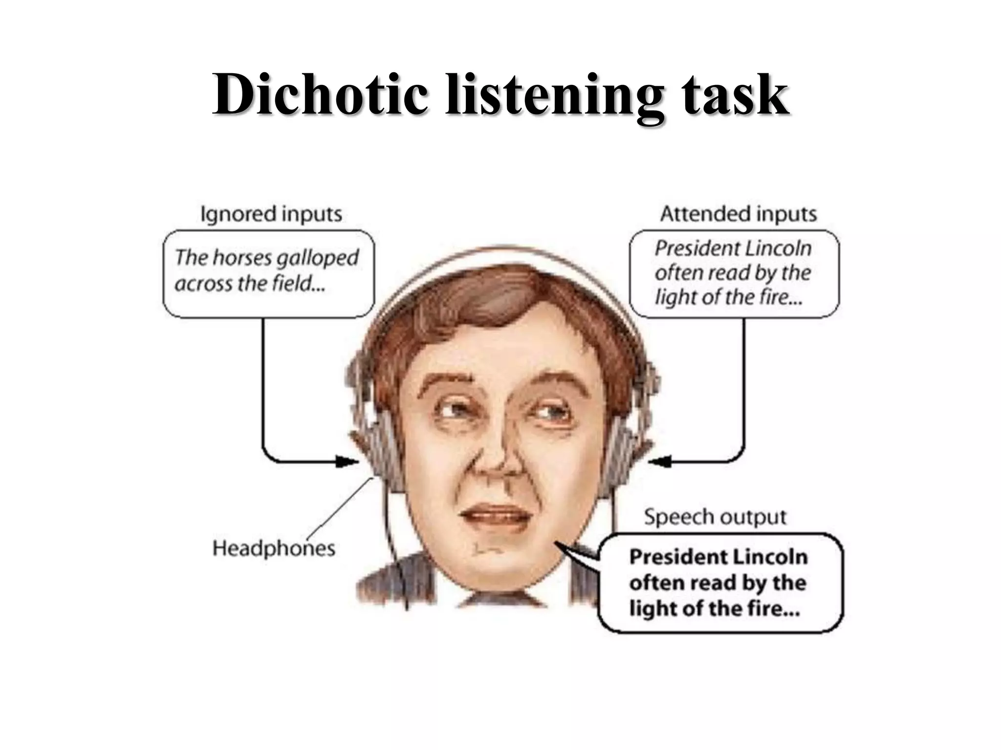 Temporal Lobe And Its Role In Psychiatry Ppt