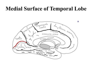 Temporal lobe and its role in psychiatry | PPTX