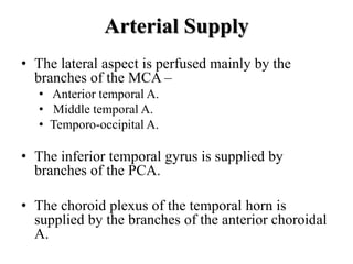 Temporal lobe and its role in psychiatry | PPTX