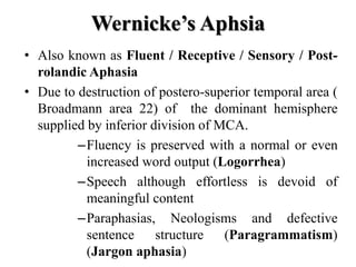 Temporal lobe and its role in psychiatry | PPTX