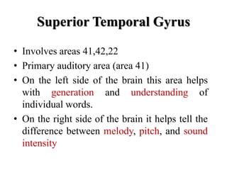 Temporal lobe and its role in psychiatry | PPTX