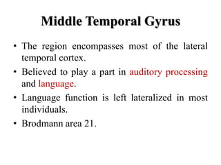 Temporal lobe and its role in psychiatry | PPTX