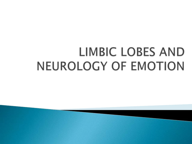 Temporal lobe and limbic system | PPTX | Brain and Nervous System ...