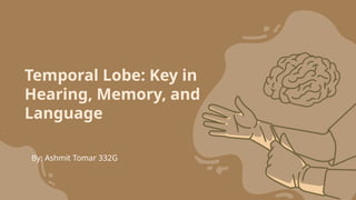 temporal lobe and its function by ashmit.pptx