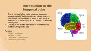 temporal lobe and its function by ashmit.pptx