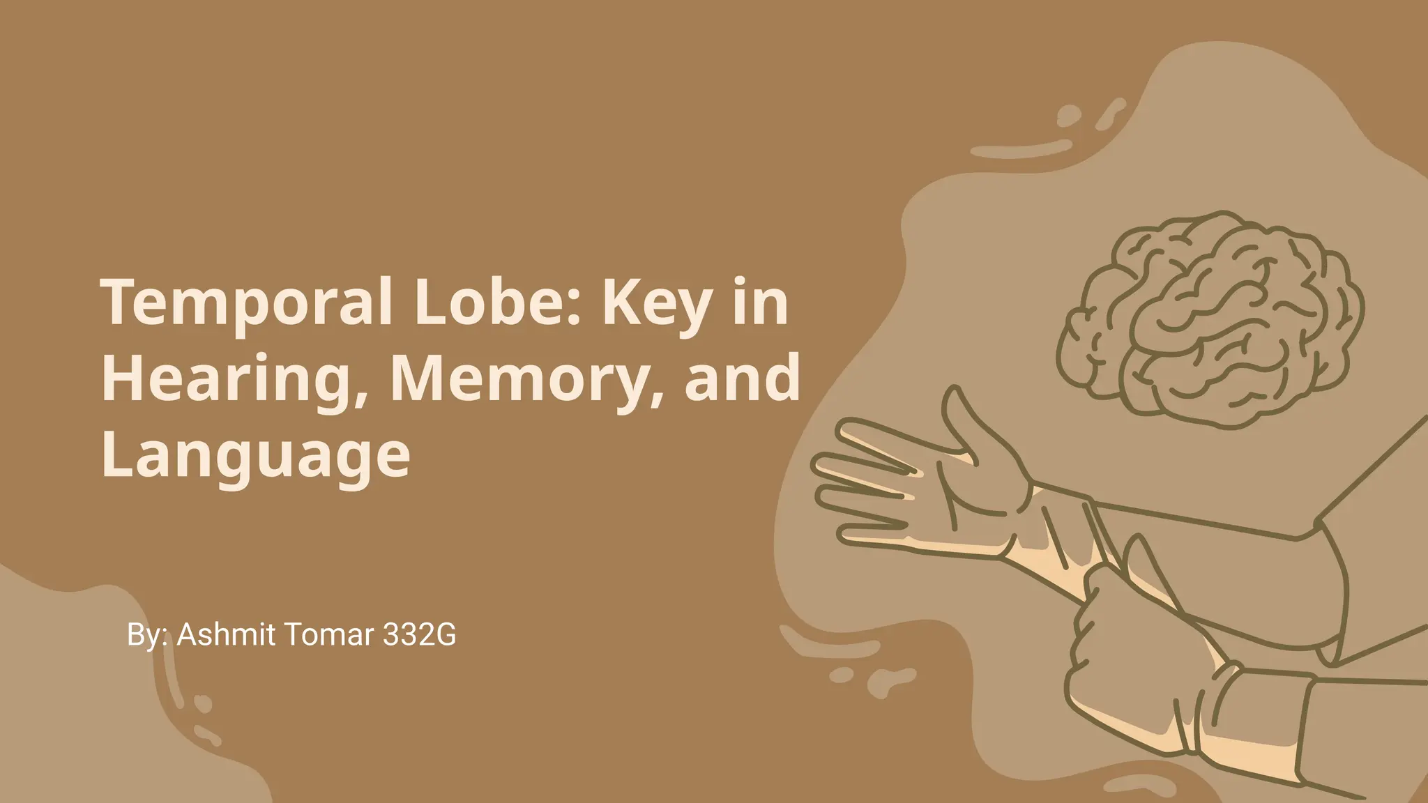 temporal lobe and its functions by ashmit.pptx