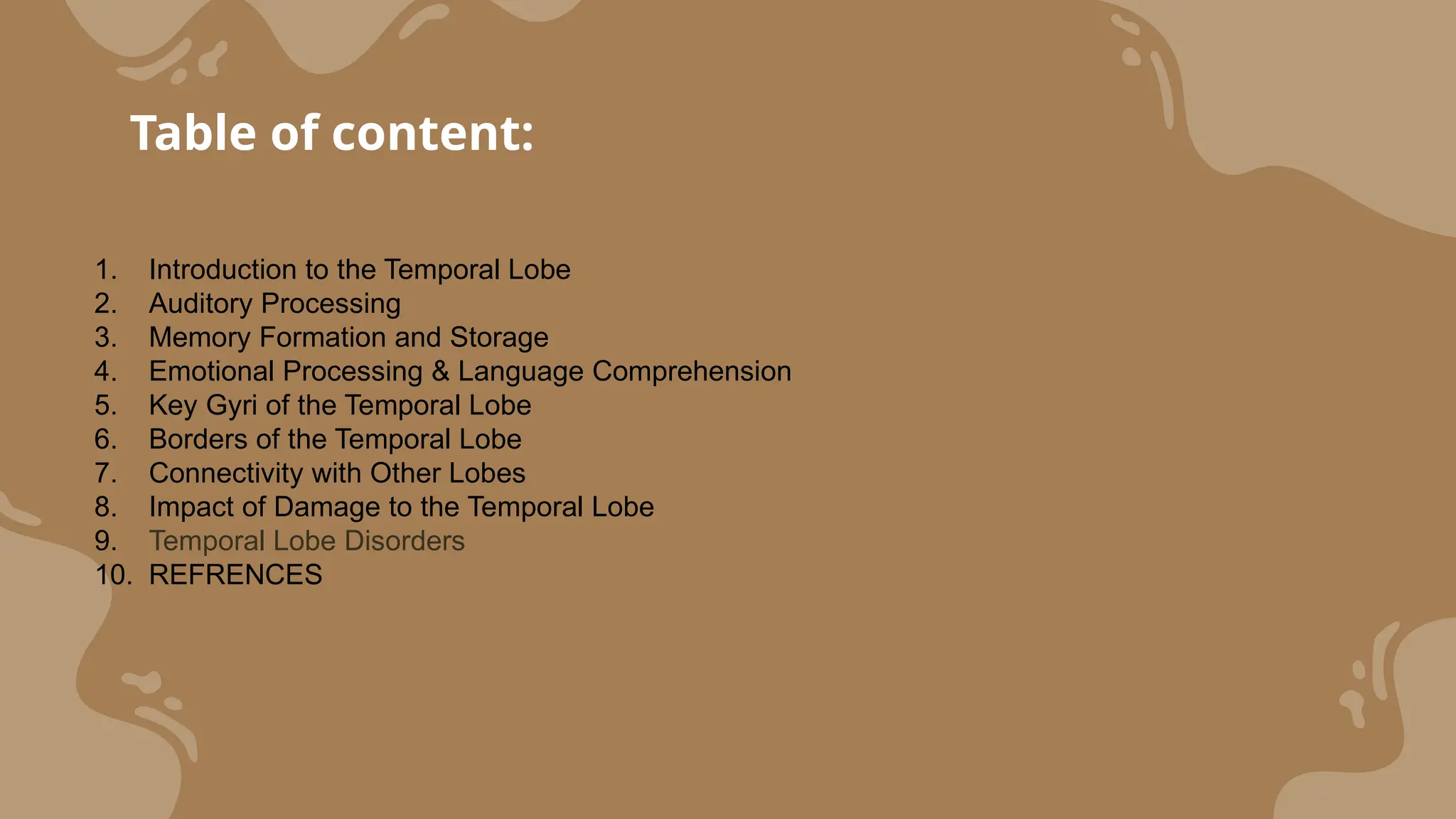 temporal lobe and its functions by ashmit.pptx