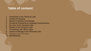 temporal lobe and its functions by ashmit.pptx