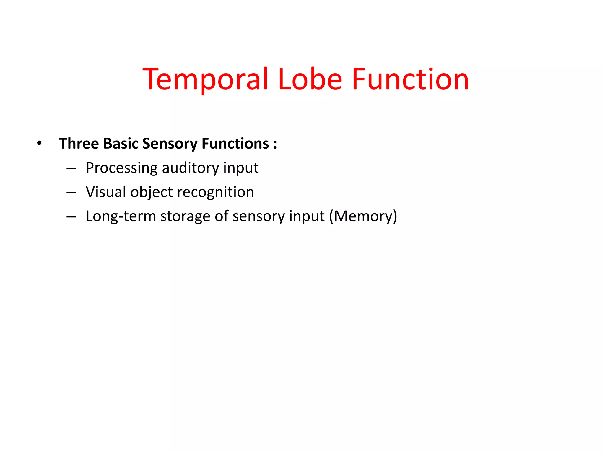 Temporal lobe ppt | PPTX