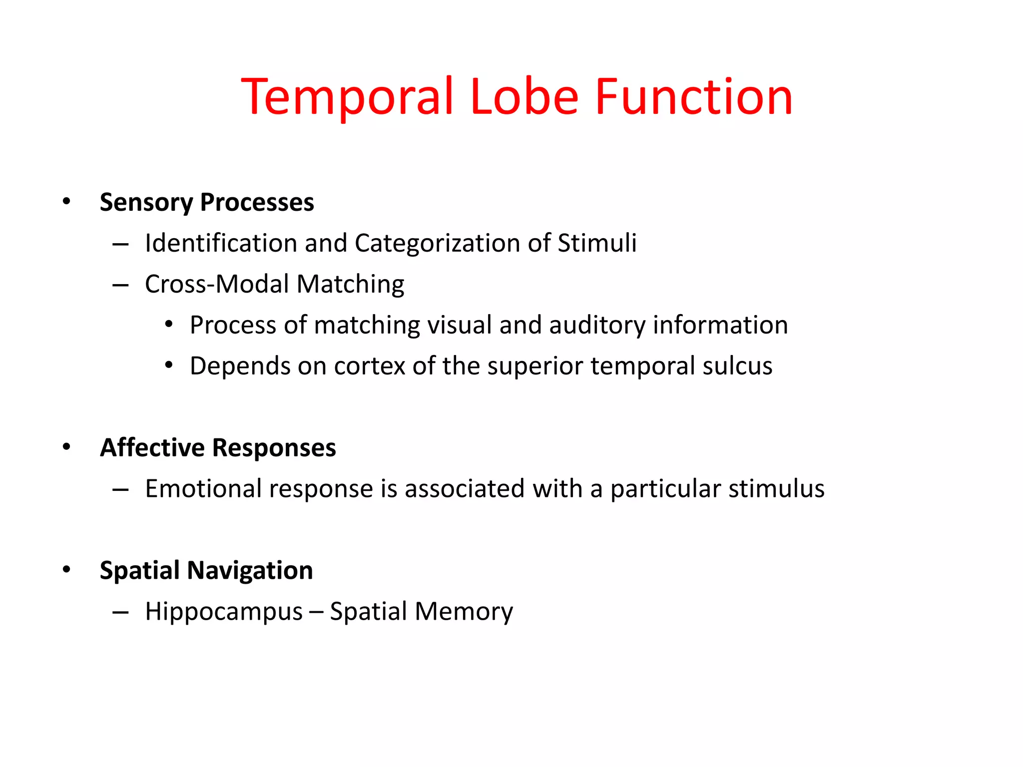 Temporal lobe ppt | PPTX