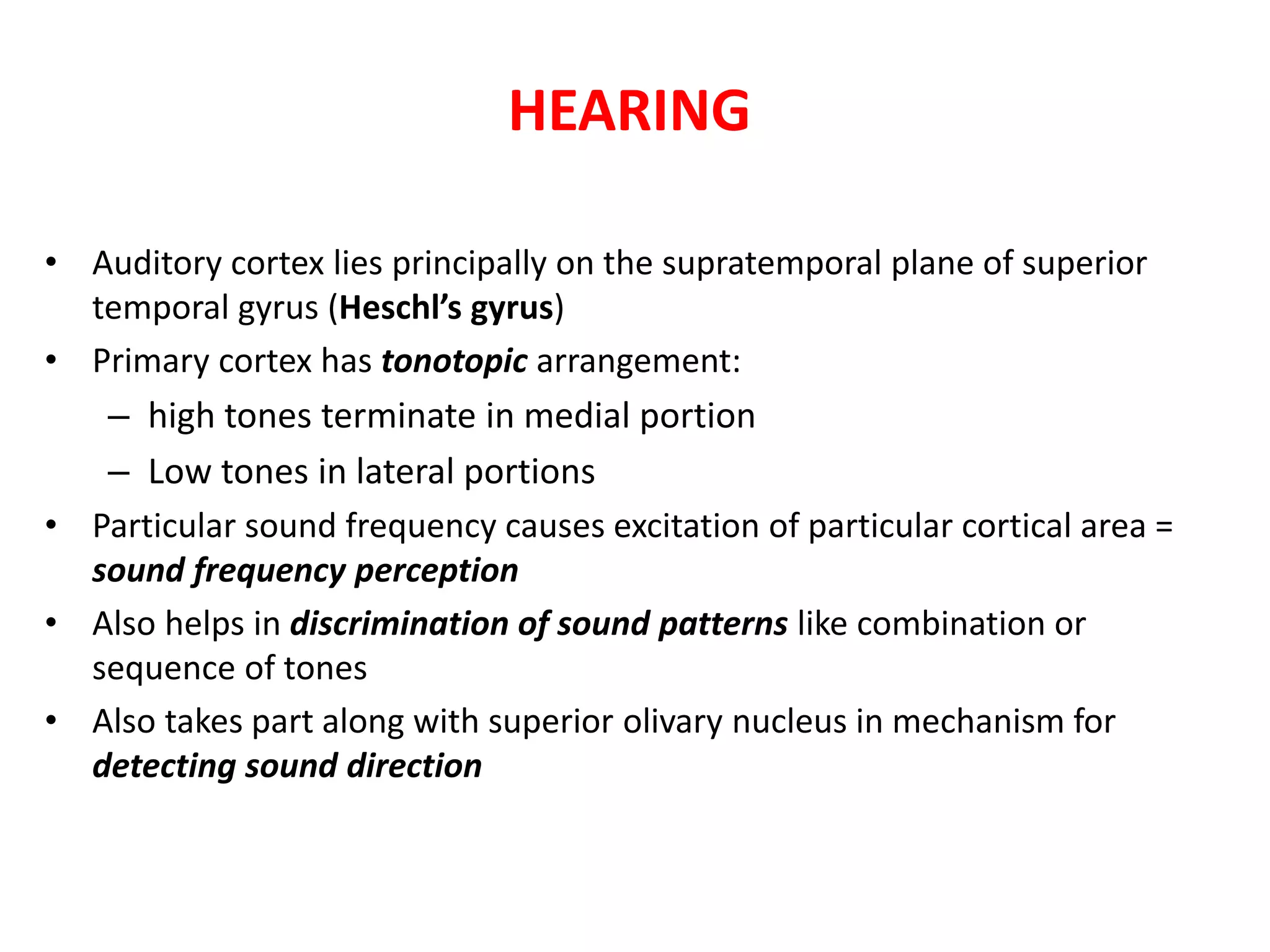 Temporal lobe ppt | PPTX