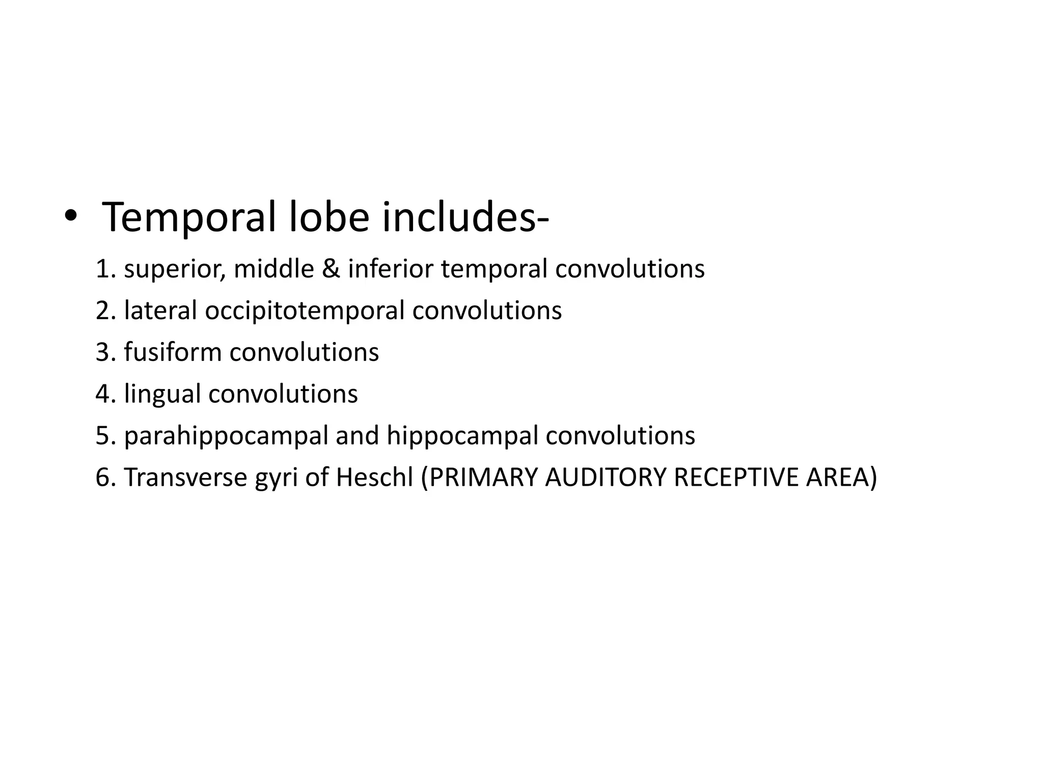 Temporal lobe ppt | PPTX