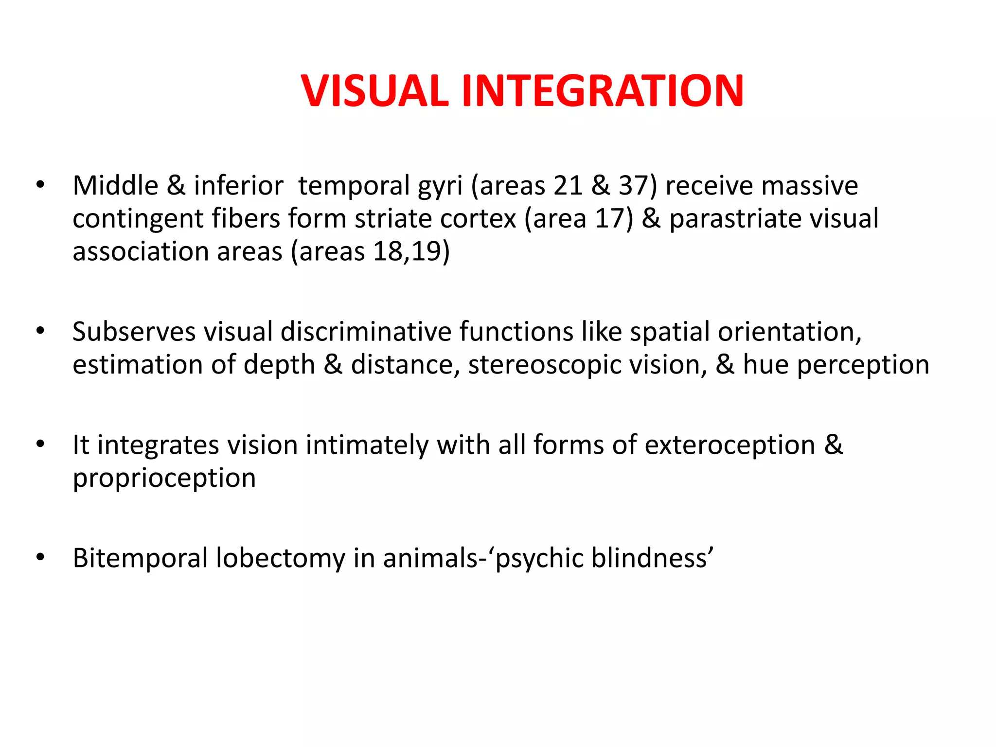 Temporal lobe ppt | PPTX