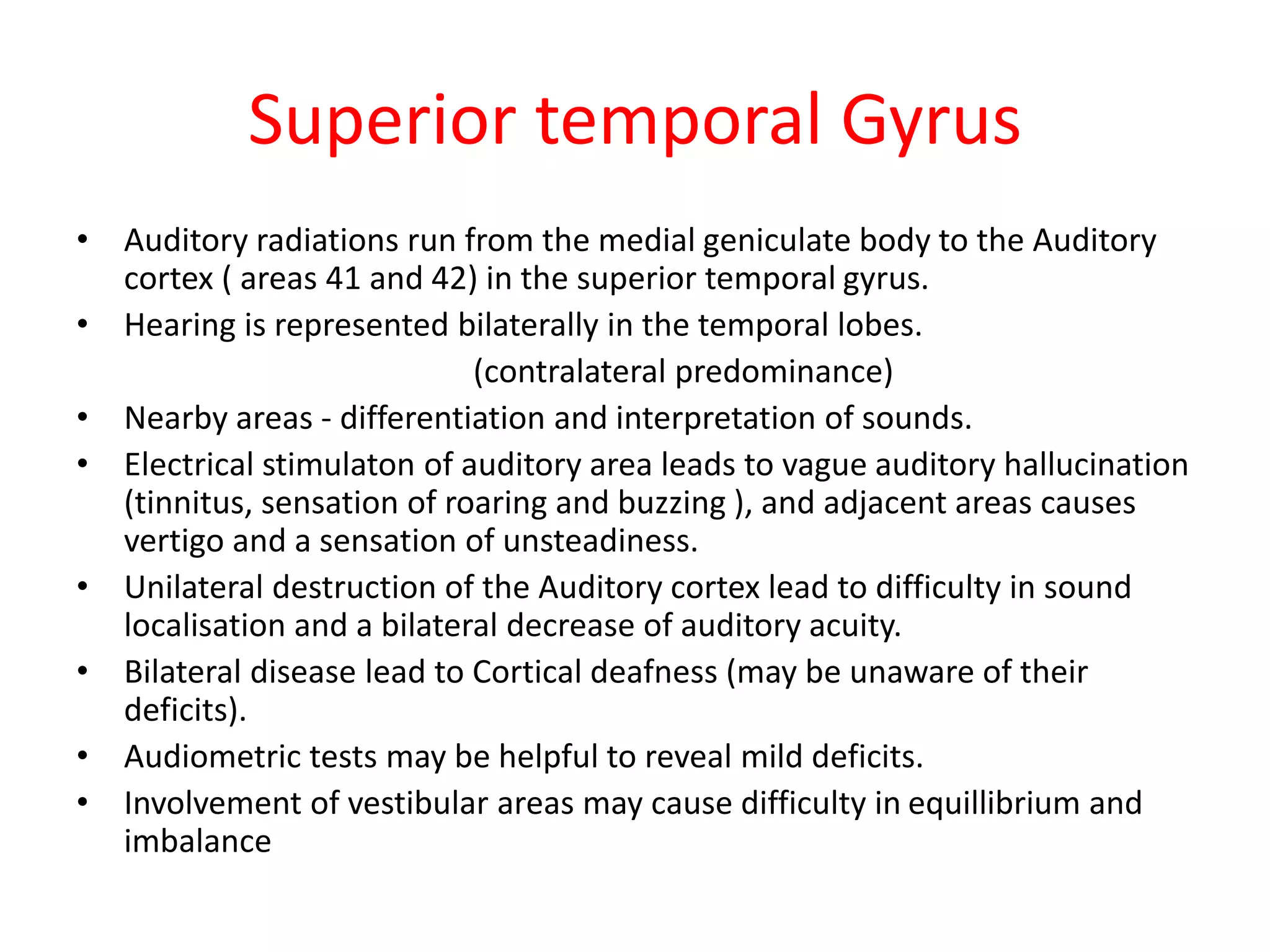 Temporal lobe ppt | PPTX