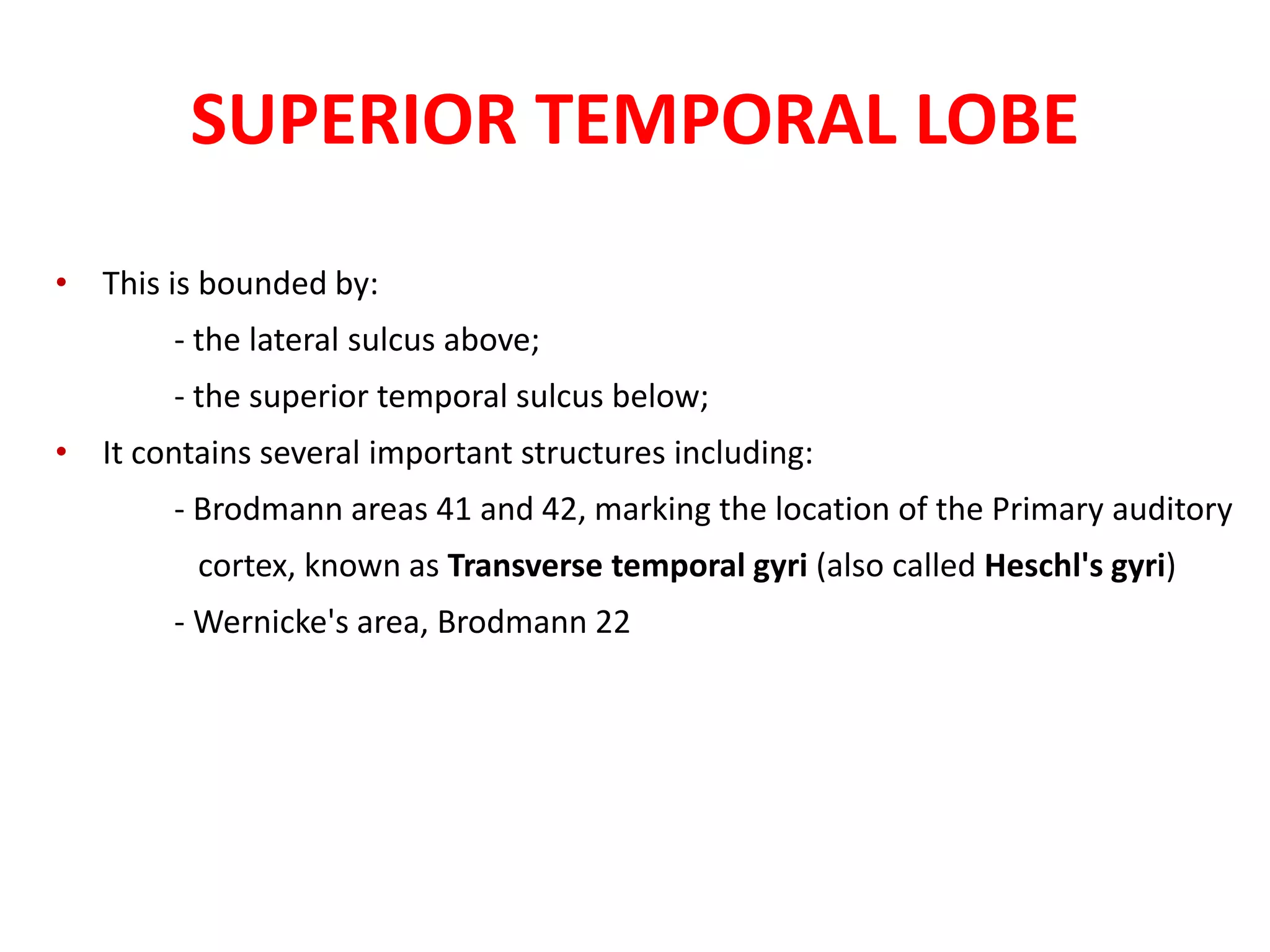 Temporal lobe ppt | PPTX