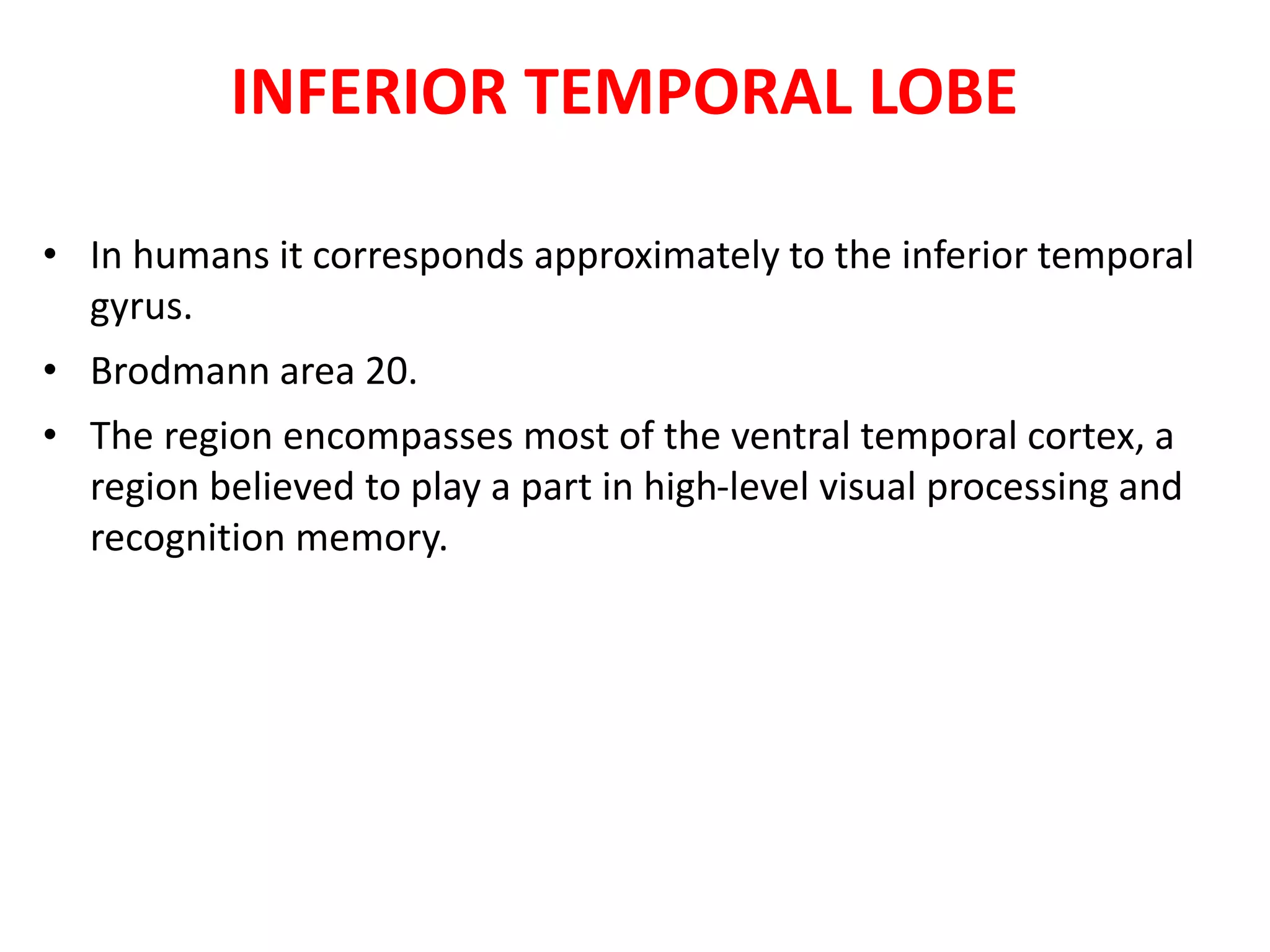 Temporal lobe ppt | PPTX