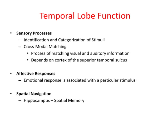 Temporal lobe ppt | PPTX