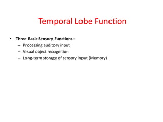 Temporal Gyrus Function