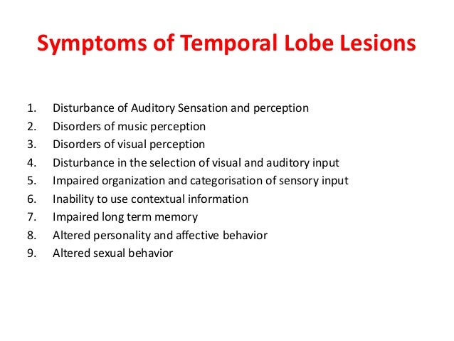 Temporal lobe ppt
