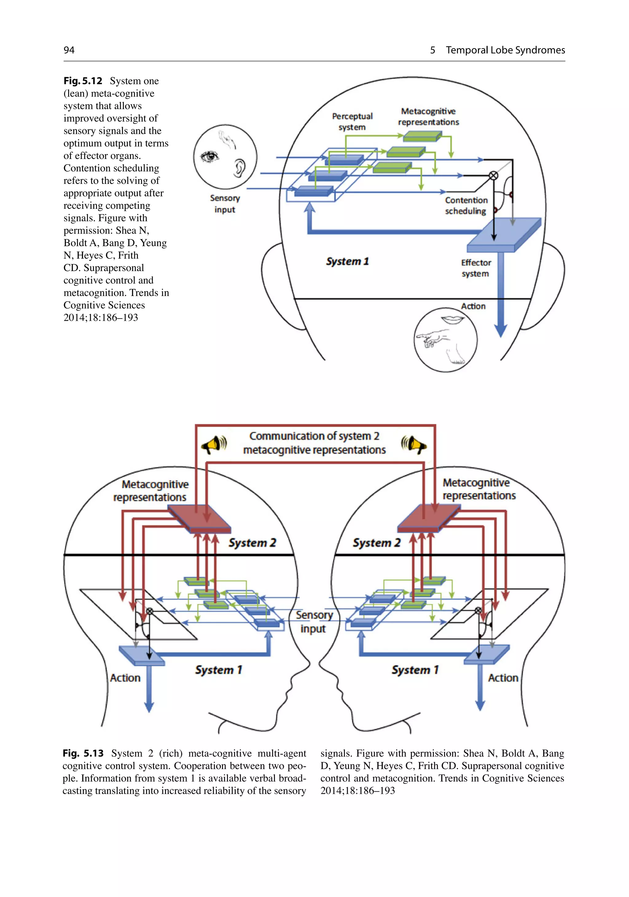 temporal lobe syndrome.pdf | Brain and Nervous System Disorders ...