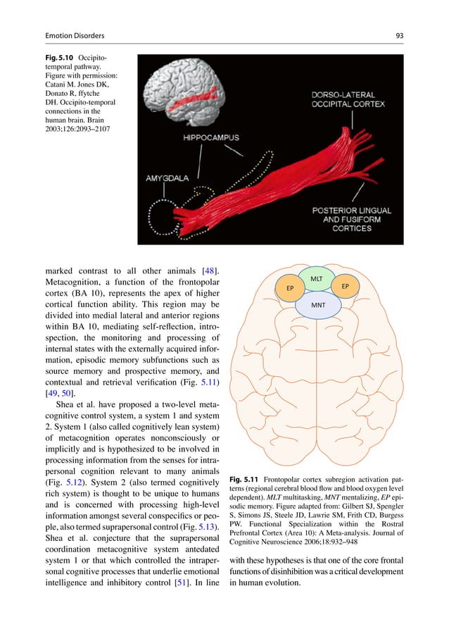 temporal lobe syndrome.pdf | Brain and Nervous System Disorders | Diseases and Conditions