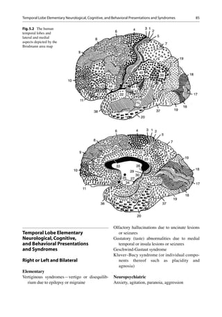 temporal lobe syndrome.pdf | Brain and Nervous System Disorders | Diseases and Conditions