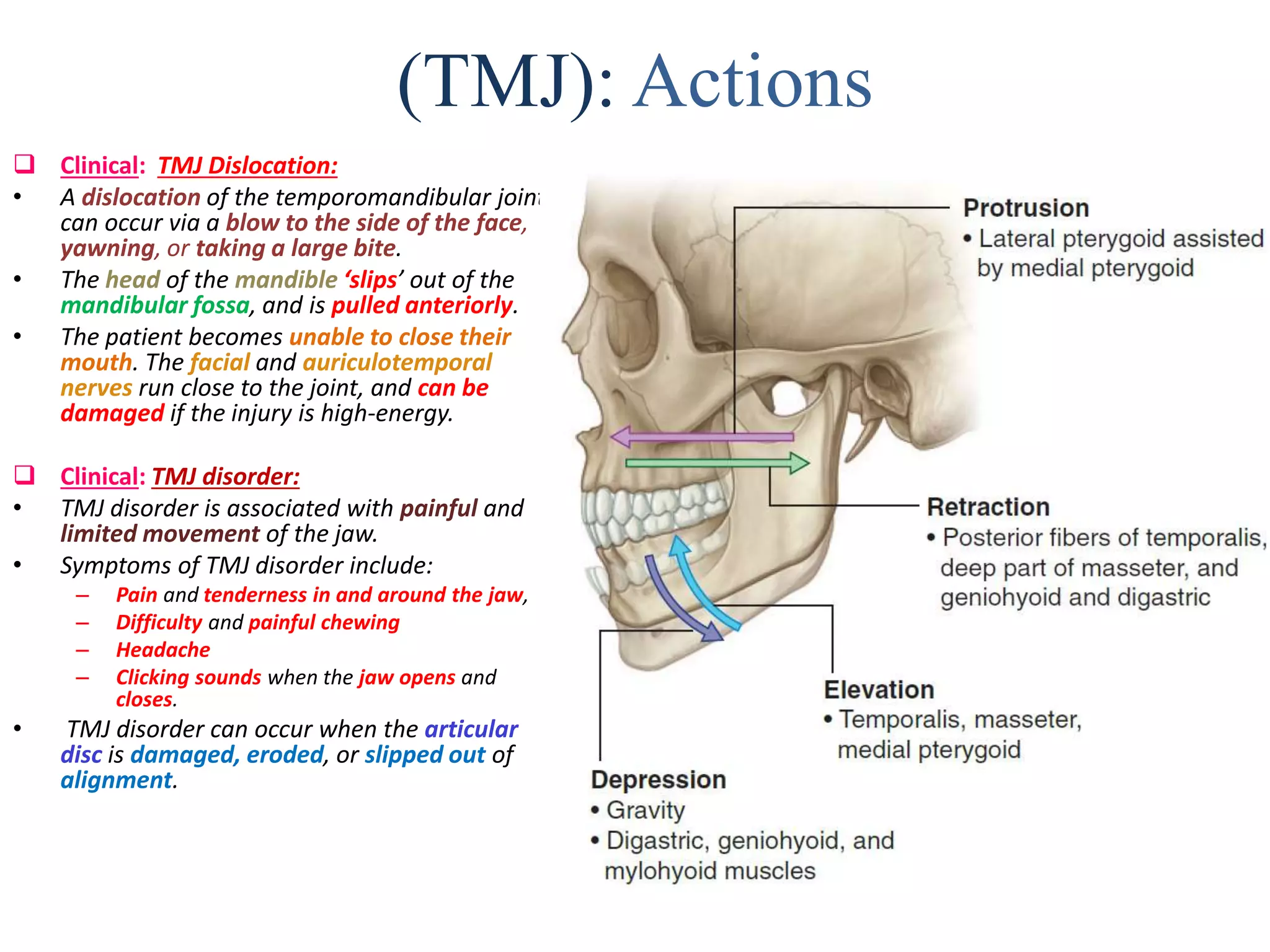 Anatomy of the Temporal region & Temporomandibular joint | PPTX