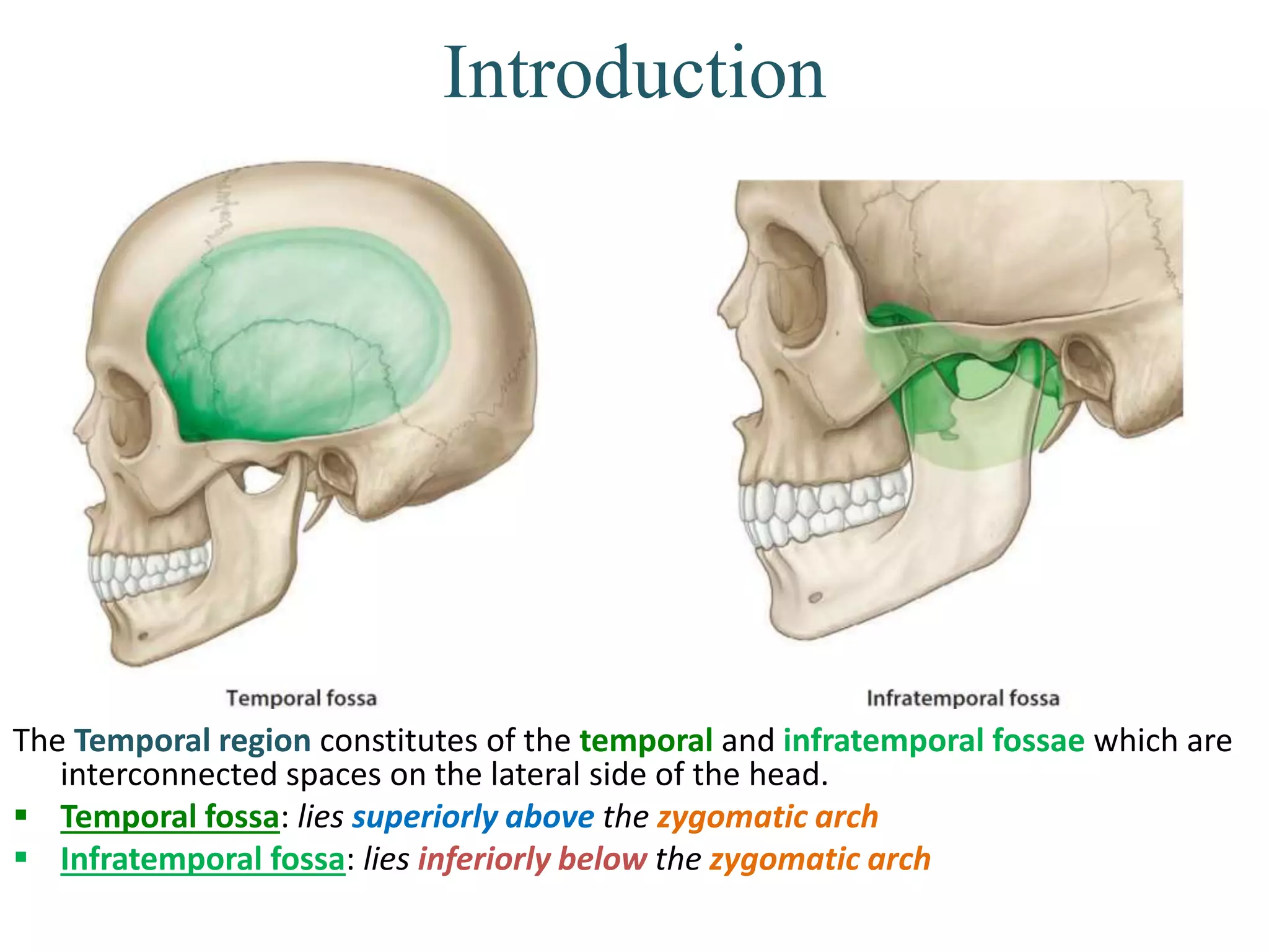 Anatomy of the Temporal region & Temporomandibular joint | PPTX
